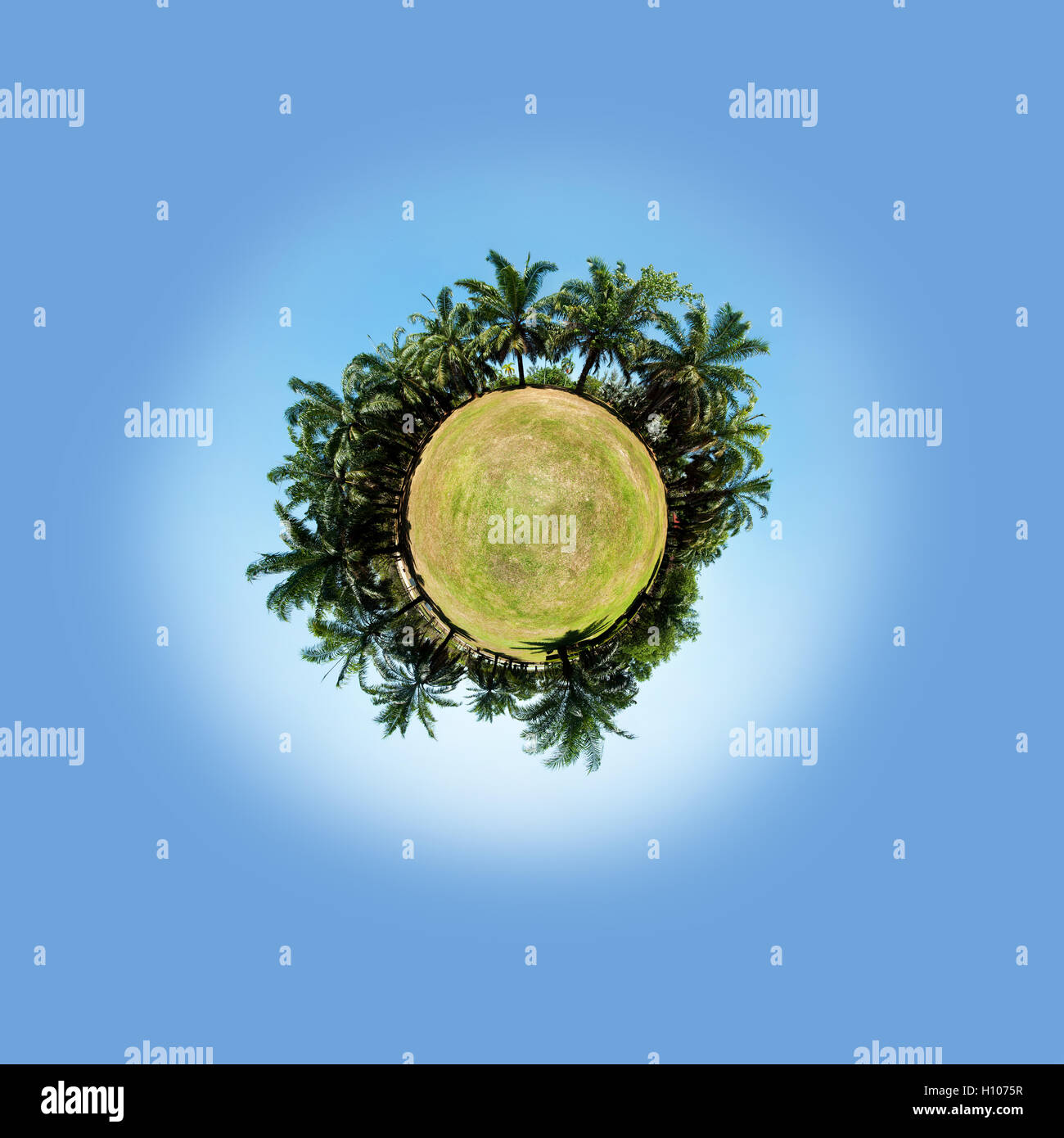 Green little tree hi-res stock photography and images - Alamy