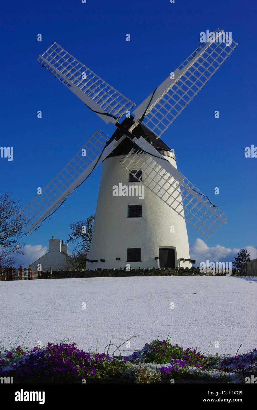 Llynnon, Windmill, Melin Llynnon, Anglesey Stock Photo - Alamy