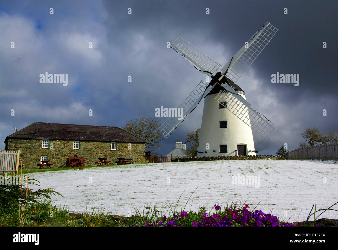 Llynnon, Windmill, Melin Llynnon, Anglesey Stock Photo - Alamy