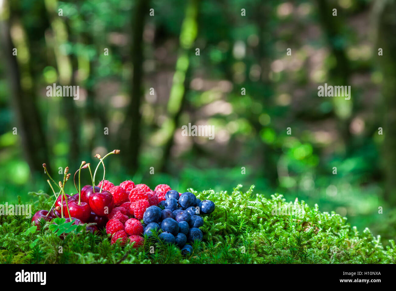 Woods fruit hi-res stock photography and images - Alamy