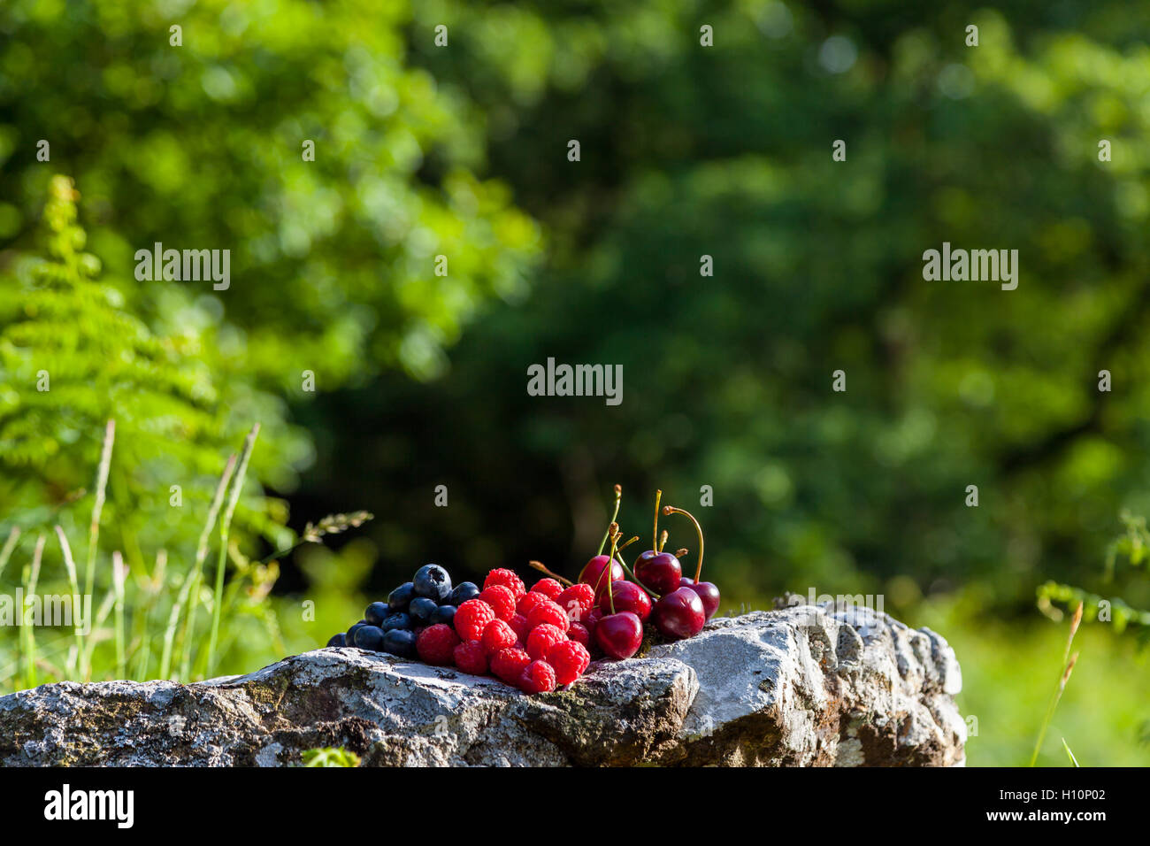 Woods fruit hi-res stock photography and images - Alamy