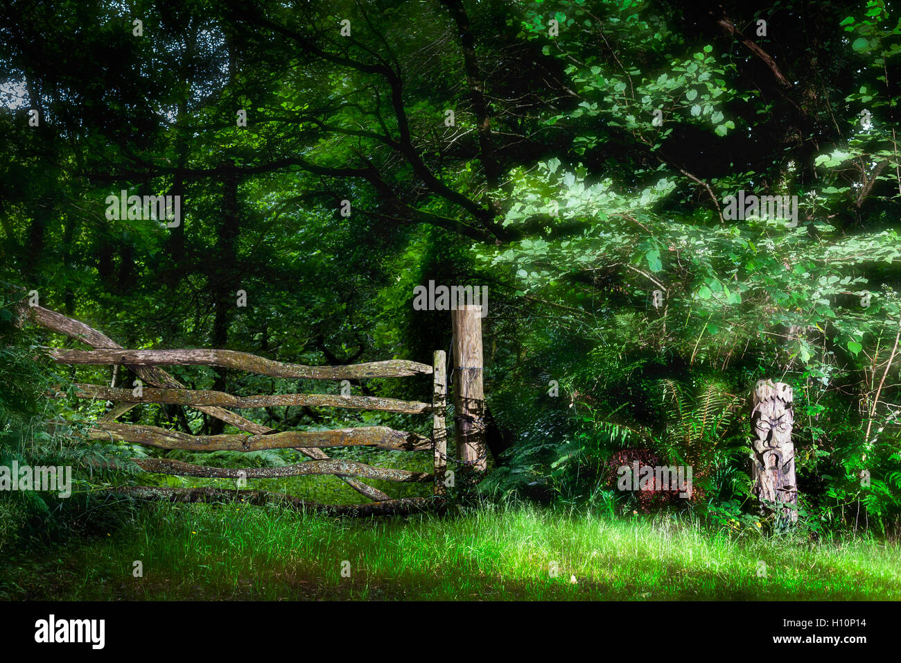 Pengelli forest hi-res stock photography and images - Alamy