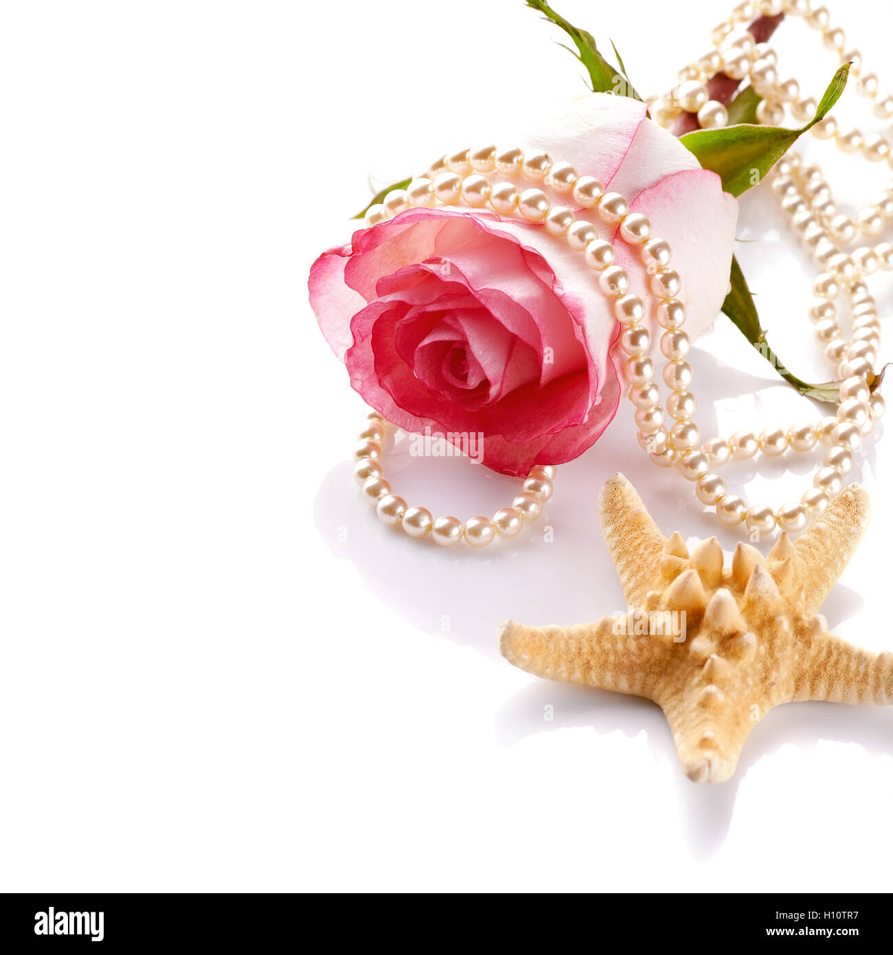Pearl starfish hi-res stock photography and images - Alamy