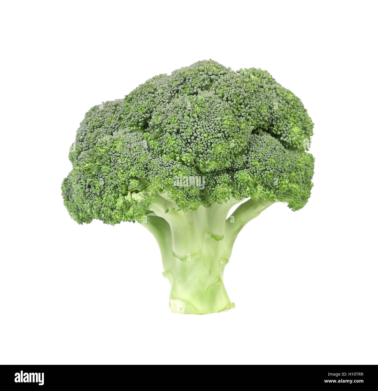Fresh broccoli vegetable Stock Photo - Alamy