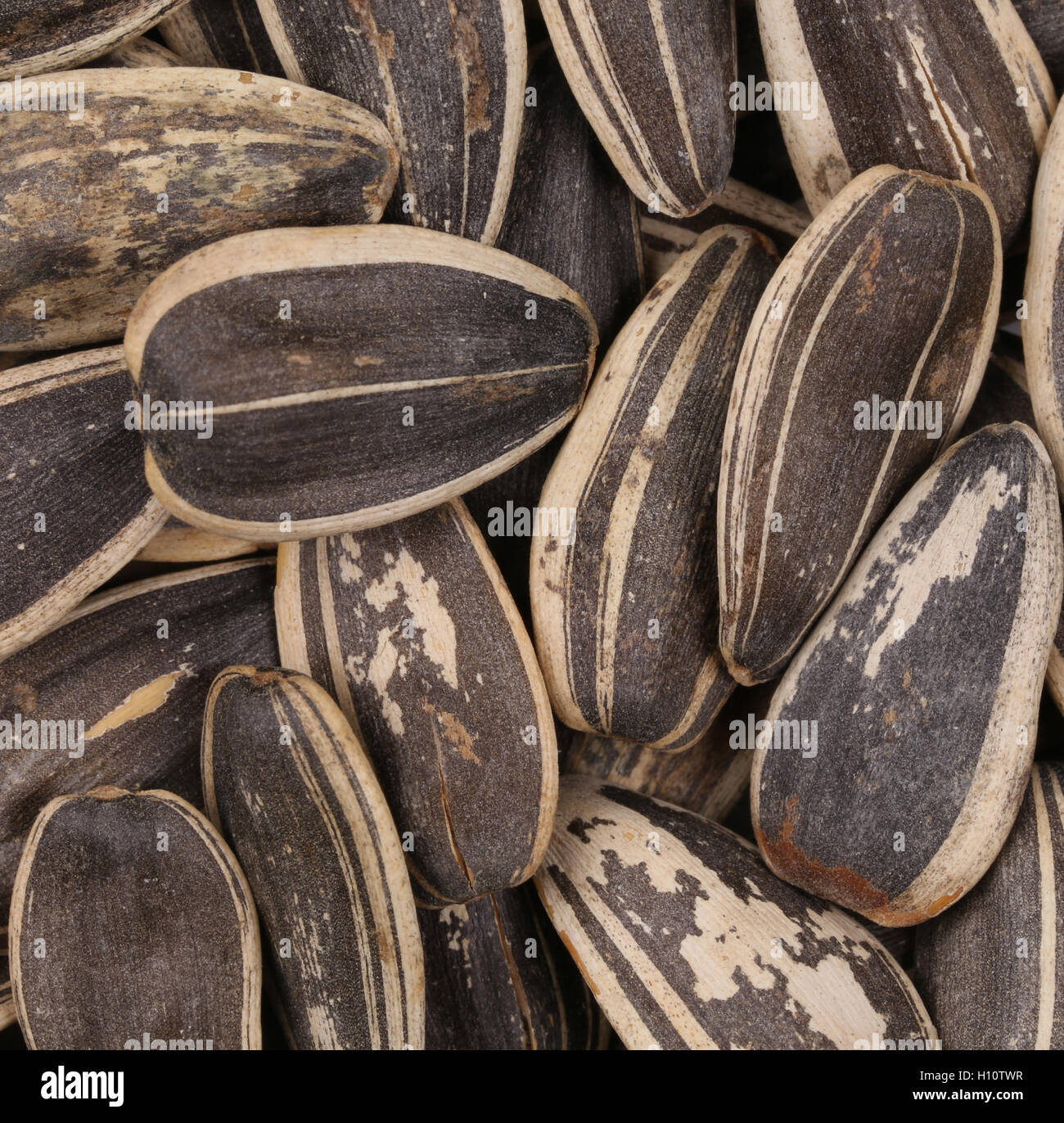 Background of sunflower black seeds Stock Photo - Alamy