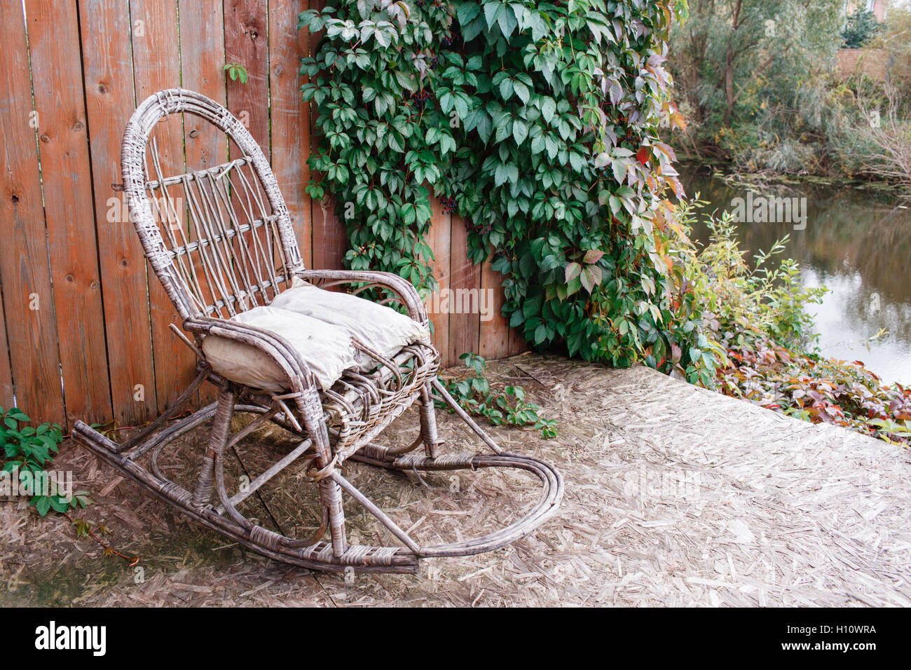 old rocking chair on the front porch of an house. wooden wall with vine ...