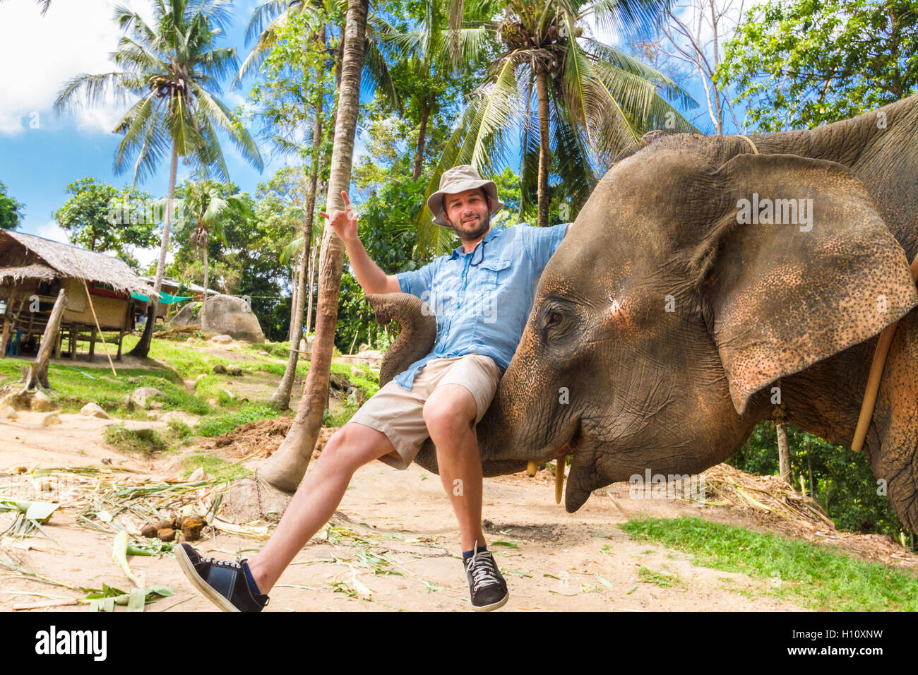 Elephant lifting man trunk hi-res stock photography and images - Alamy