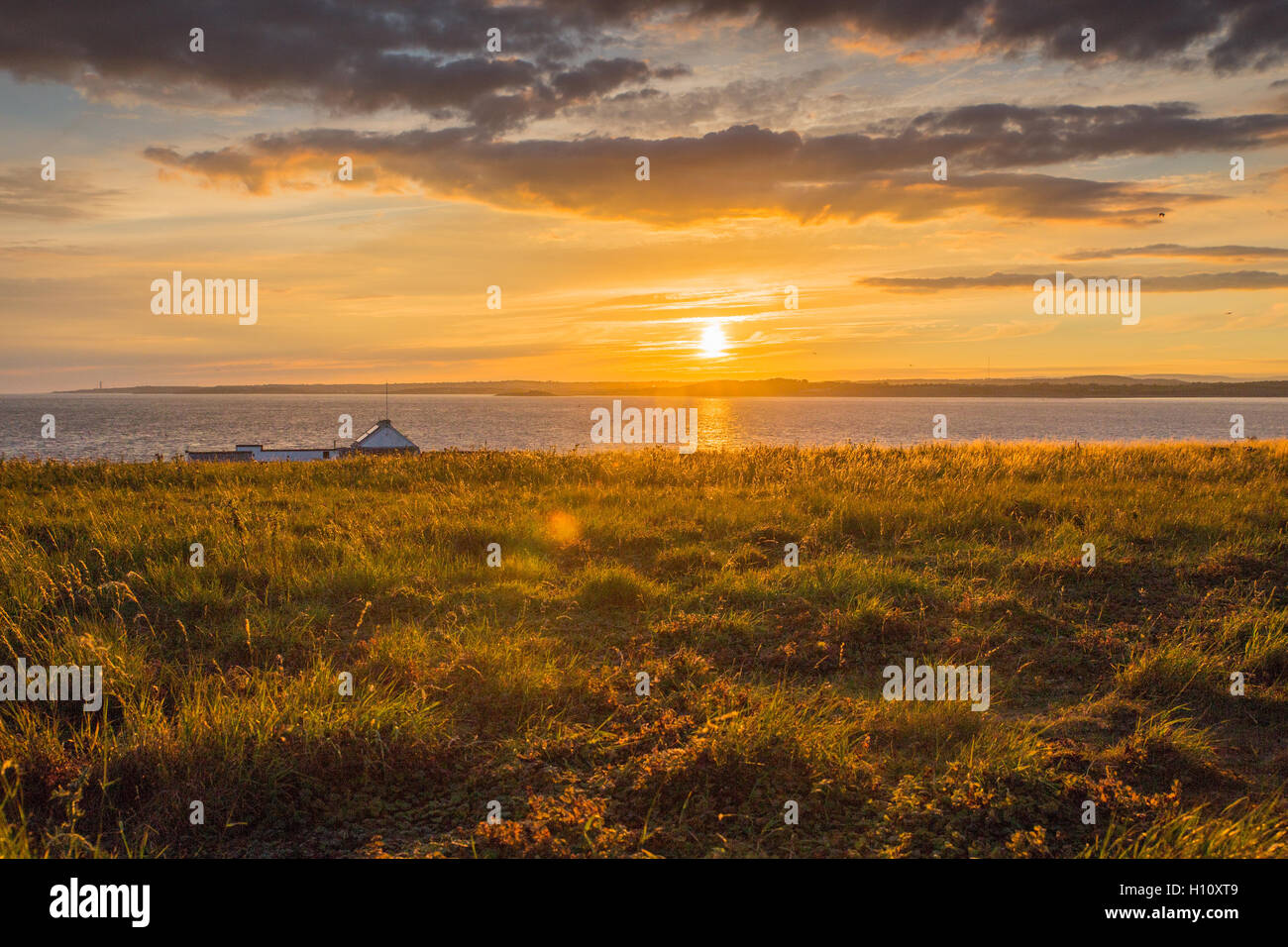 Flat holm island hi-res stock photography and images - Alamy