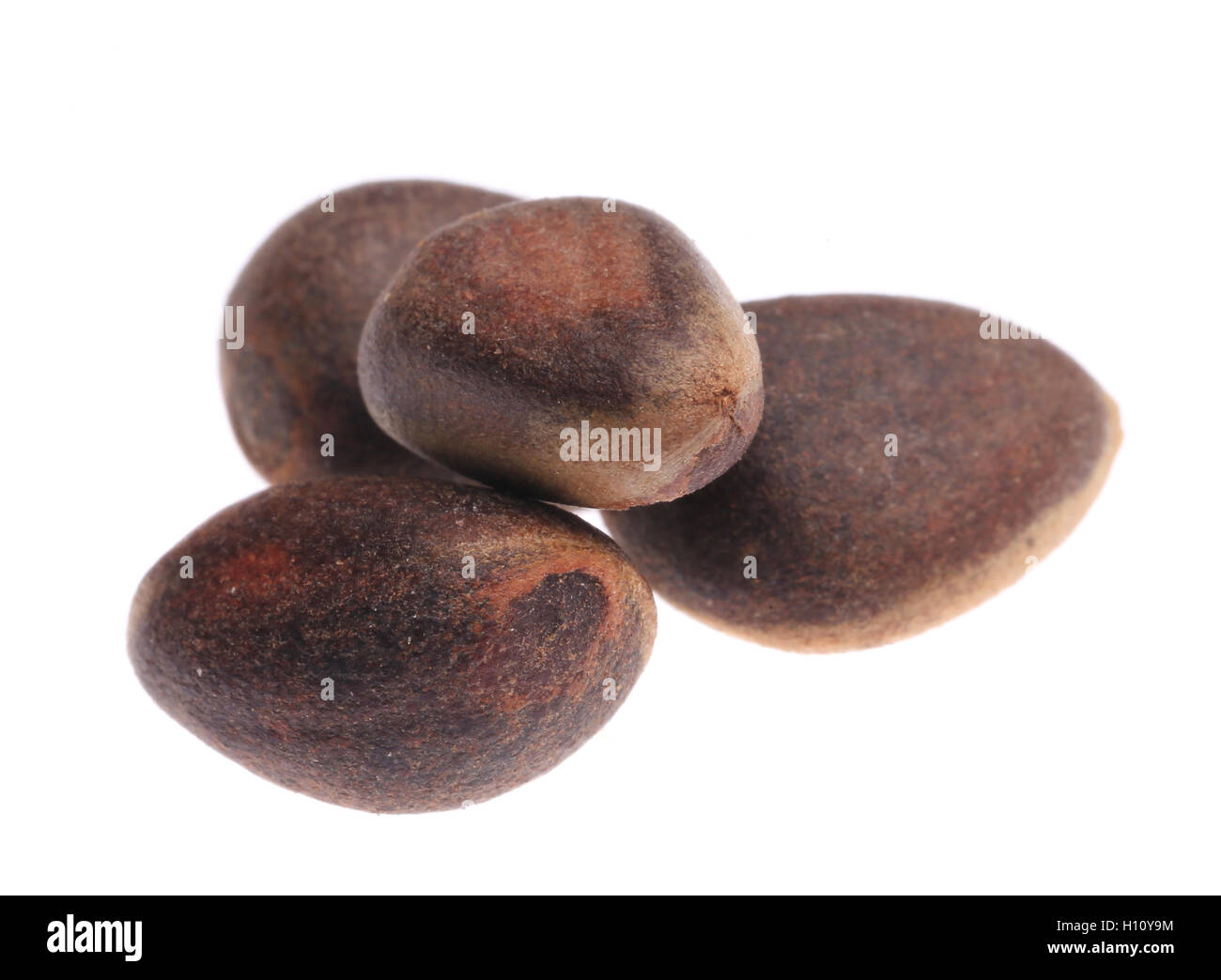 Close up of pine nuts bunch Stock Photo - Alamy