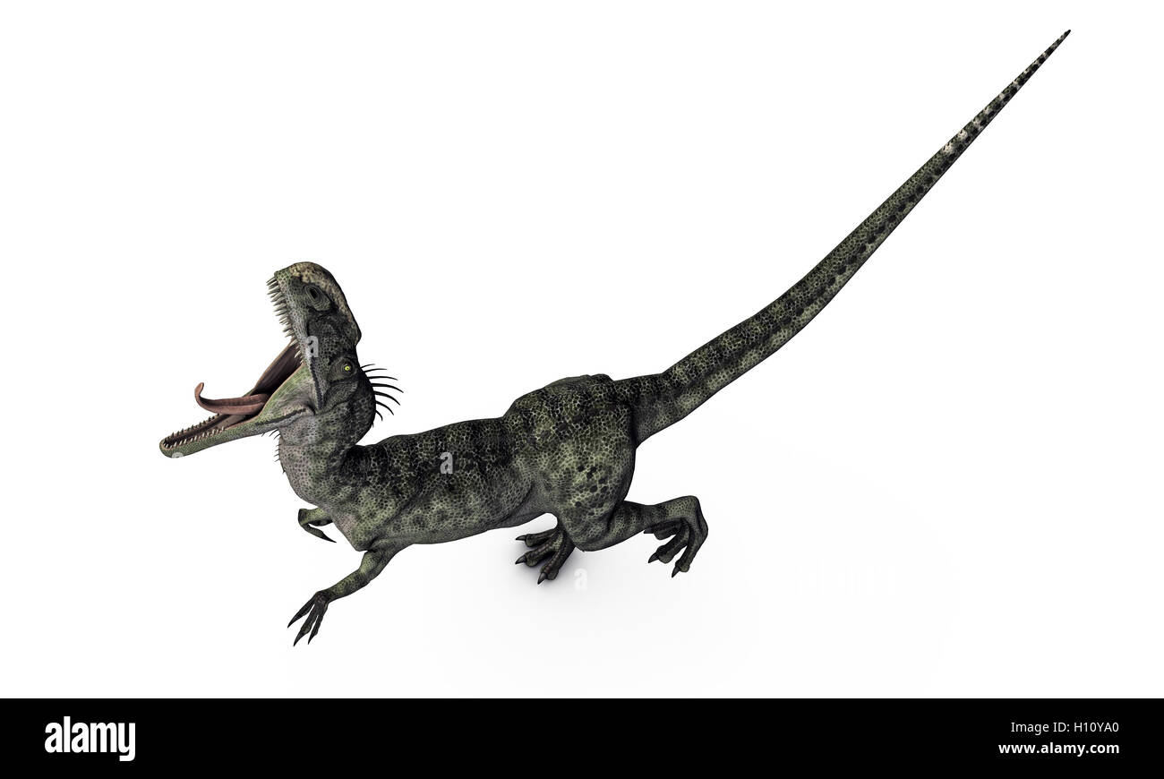 Monolophosaurus hi-res stock photography and images - Alamy