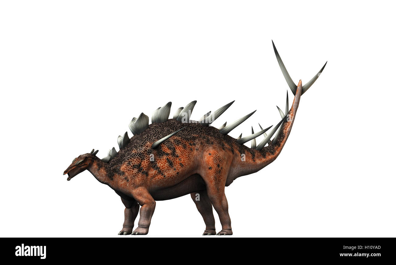 Kentrosaurus jurassic hi-res stock photography and images - Alamy