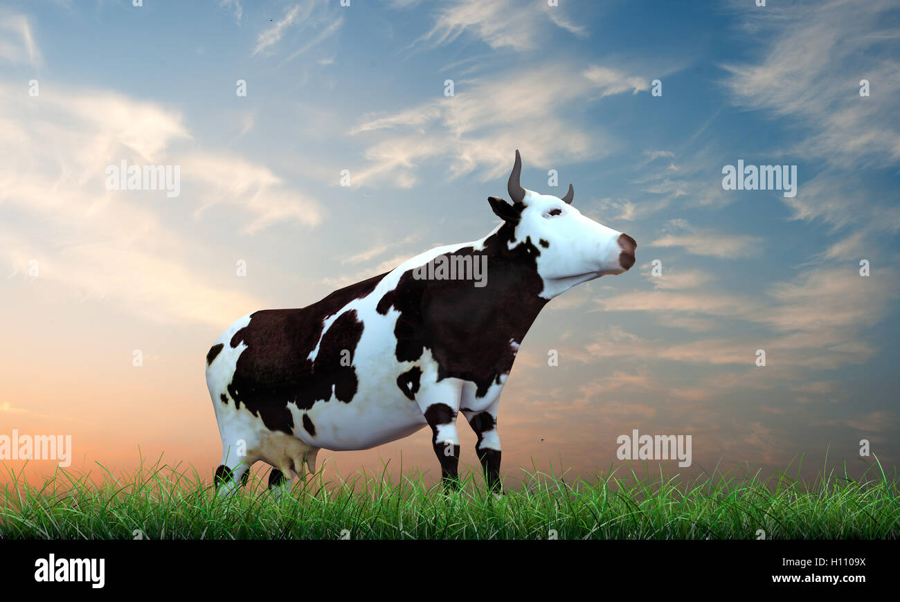 One animal cow hi-res stock photography and images - Alamy