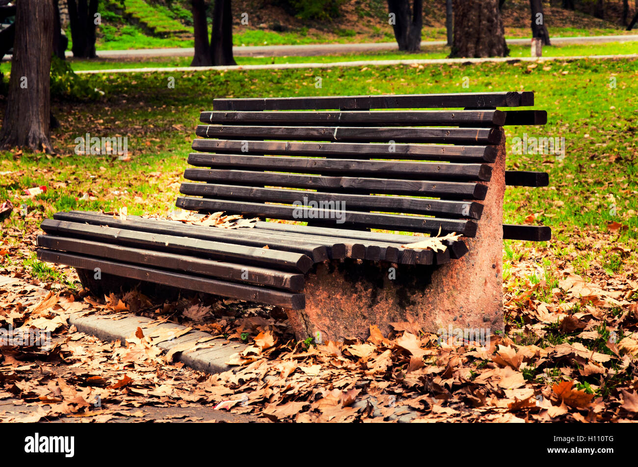 Bench in the park Stock Photo - Alamy