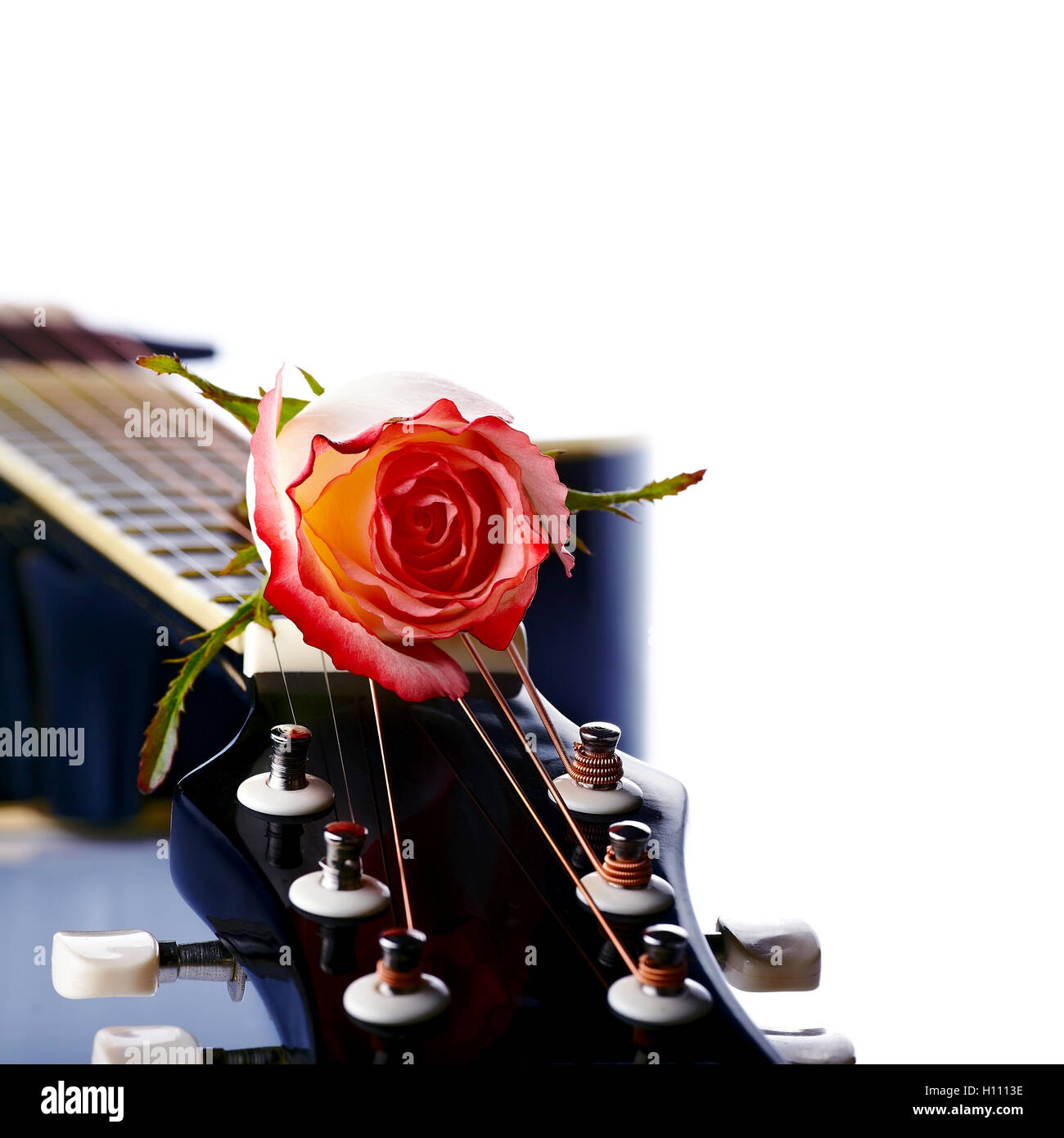 Guitar and rose Stock Photo - Alamy