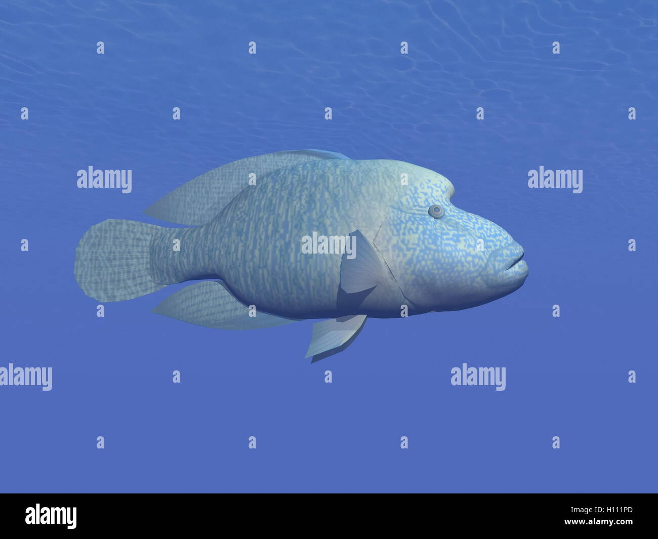 Cute underwater pet hi-res stock photography and images - Alamy