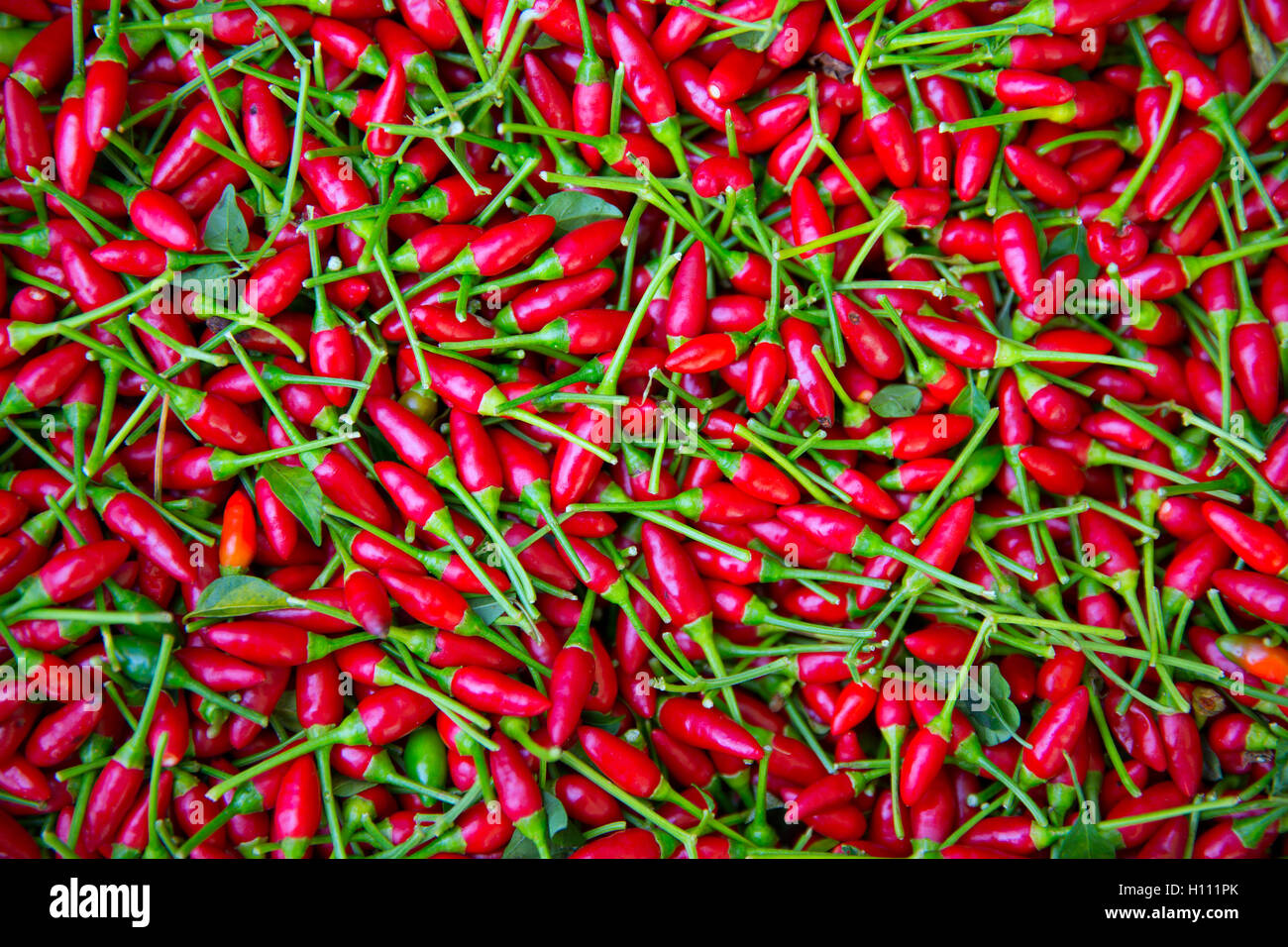 Little red chili peppers texture background Stock Photo - Alamy