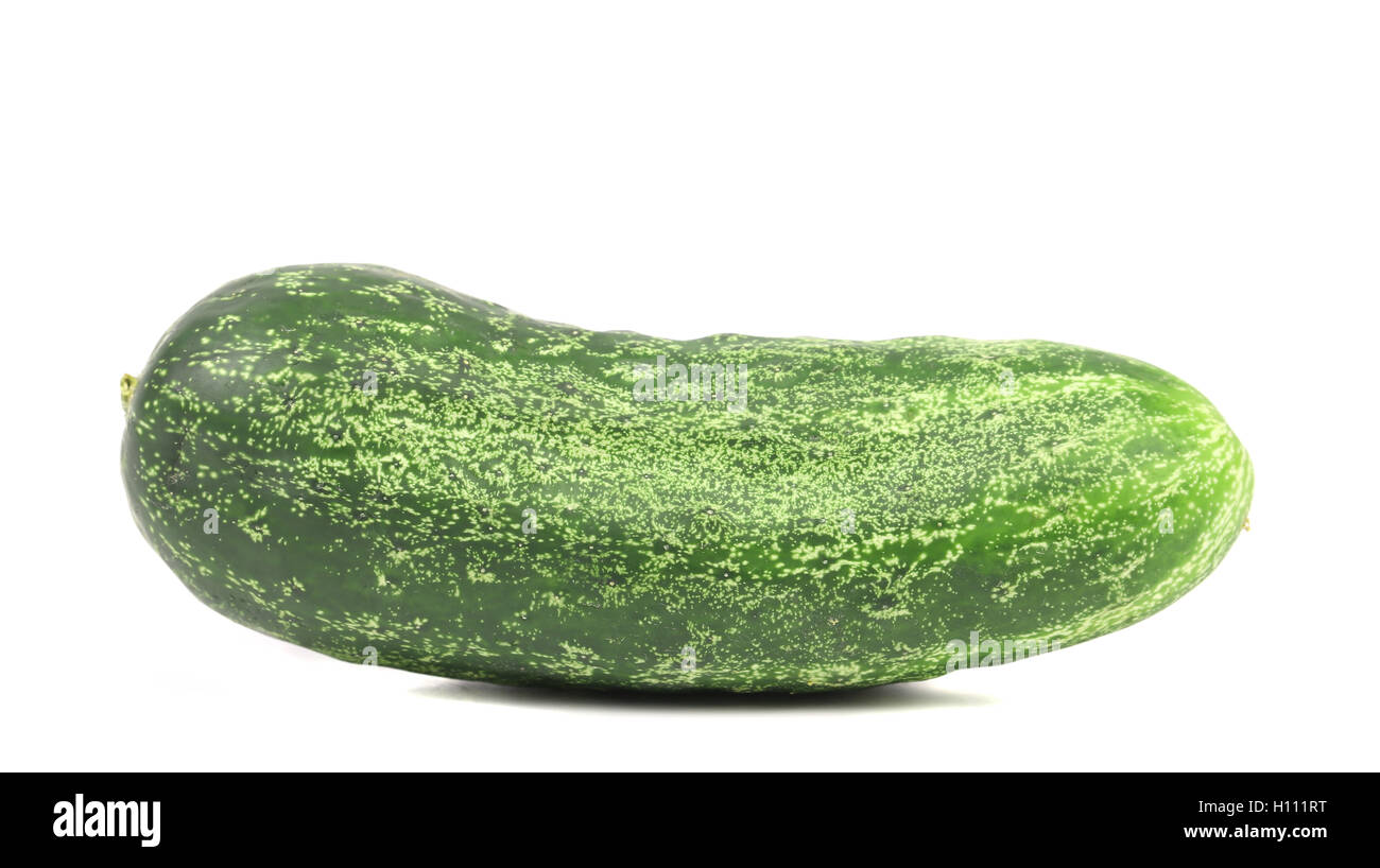 Single green cucumber Stock Photo - Alamy