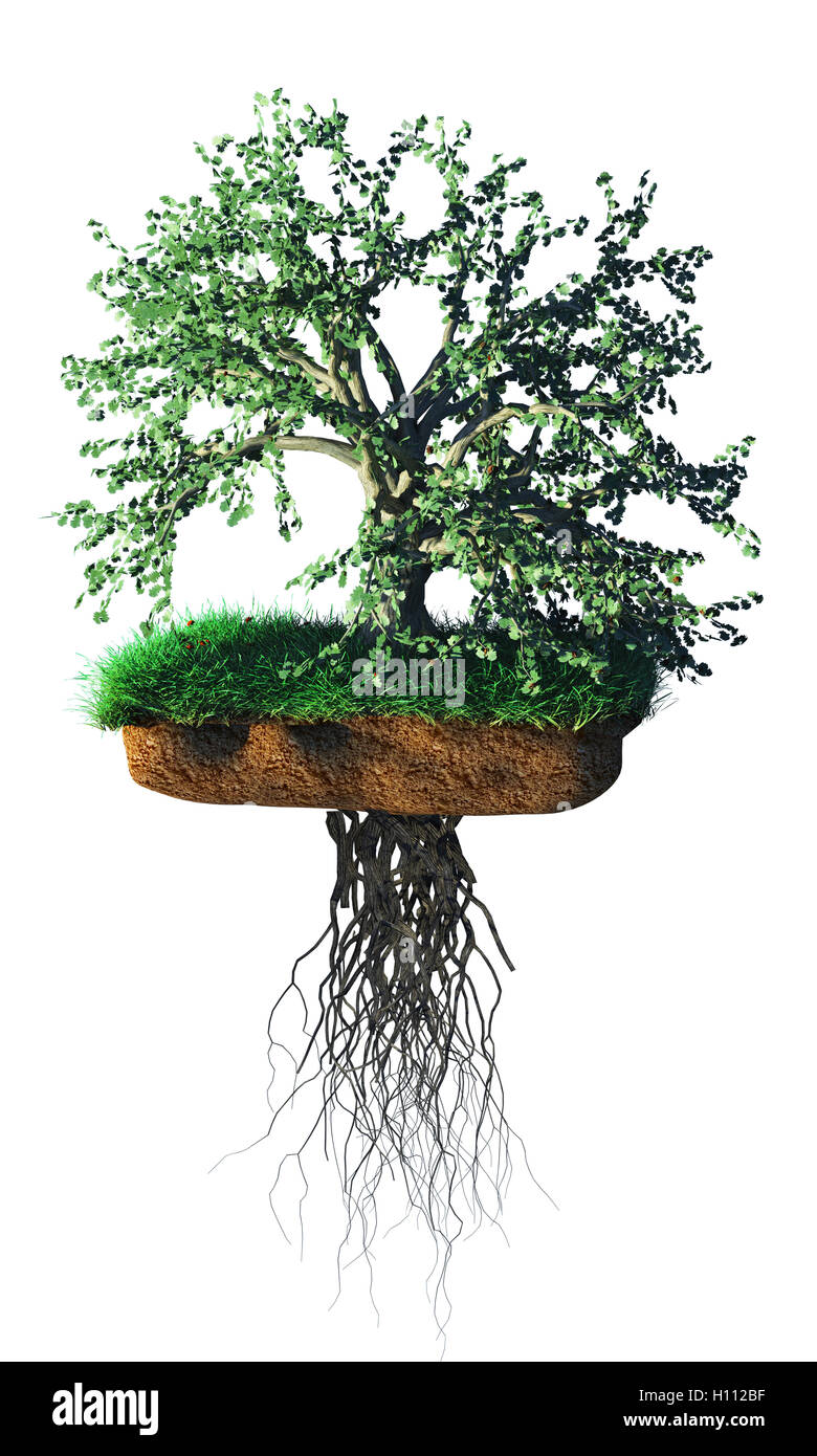 Tree root illustration Cut Out Stock Images & Pictures - Alamy