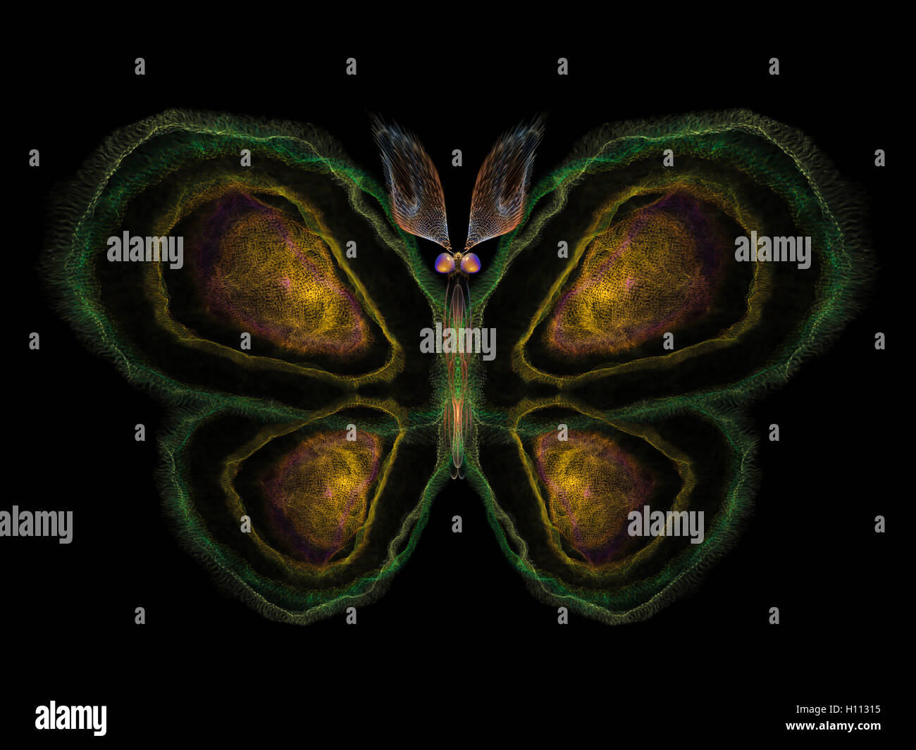 Magic of Butterfly Stock Photo - Alamy