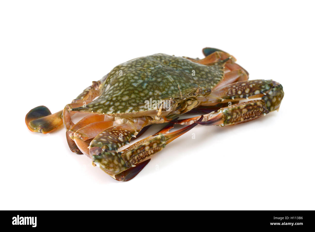Fish crab Cut Out Stock Images & Pictures - Alamy