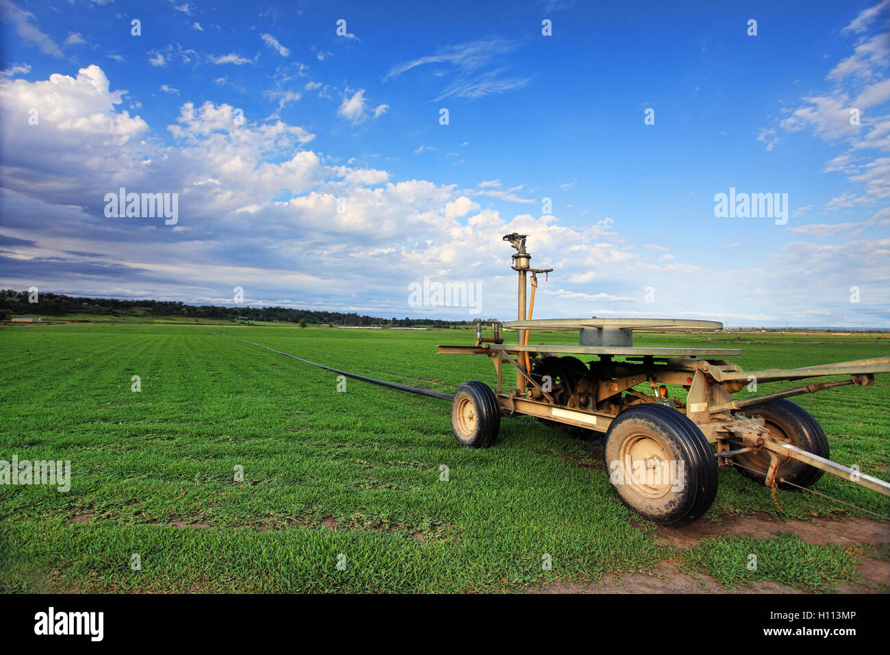 Turf farming, Australia Stock Photo - Alamy