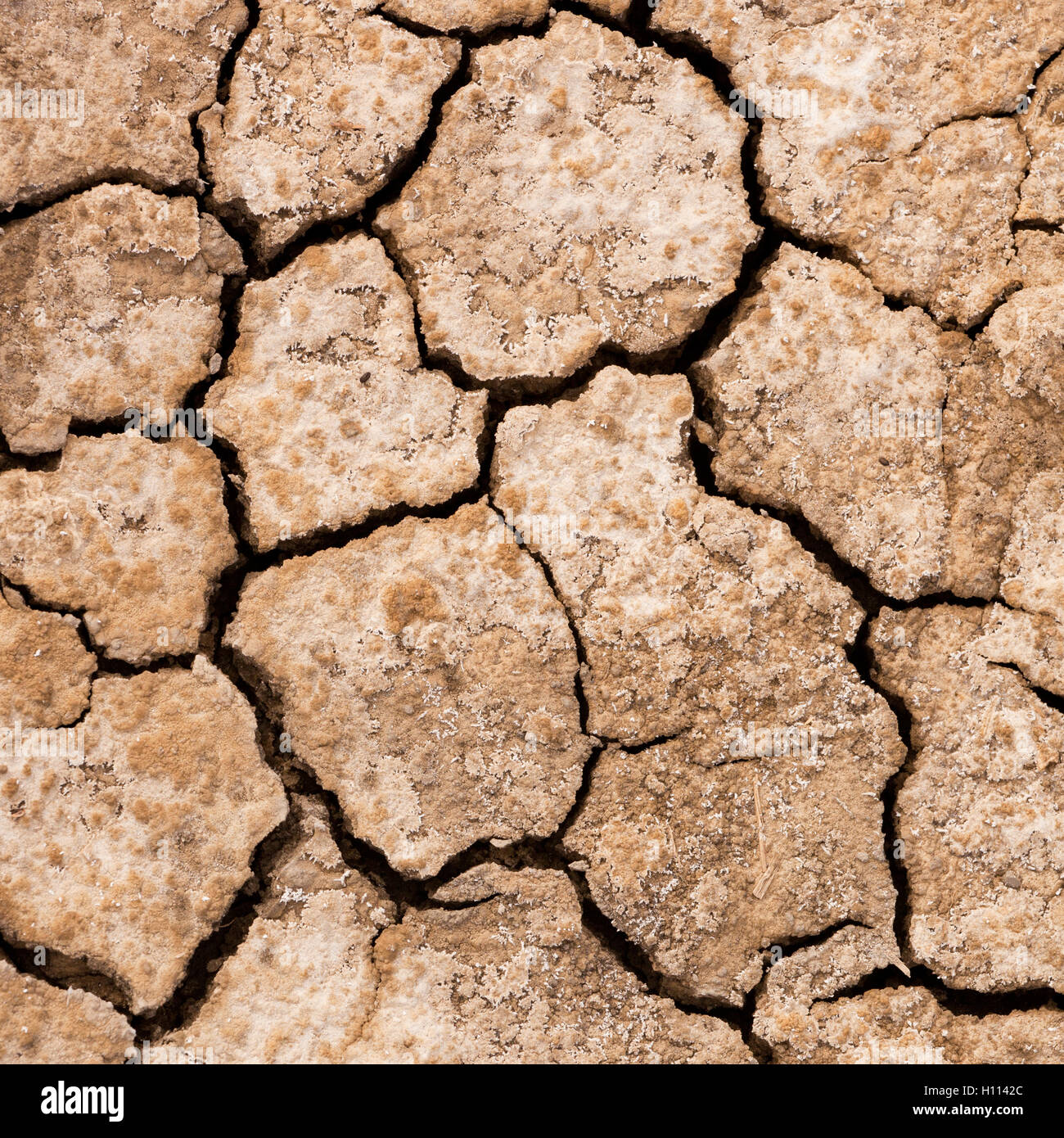 Cracked dry mud drought concept nature background Stock Photo - Alamy Cracked dry mud drought concept nature background Stock Photo - Alamy
