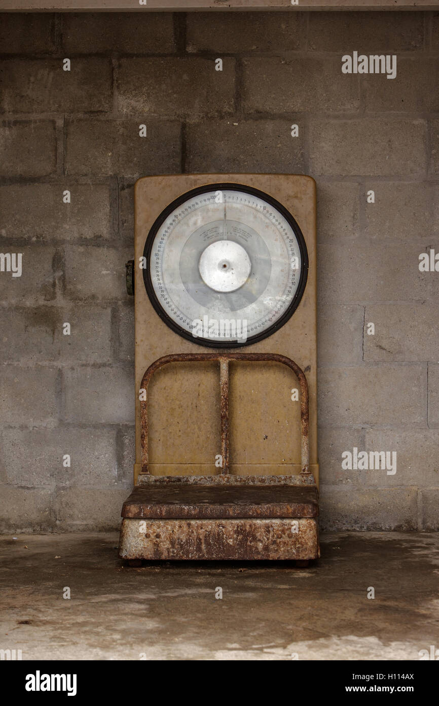 big old well used scales so fishermen can weight there catch of the day ...