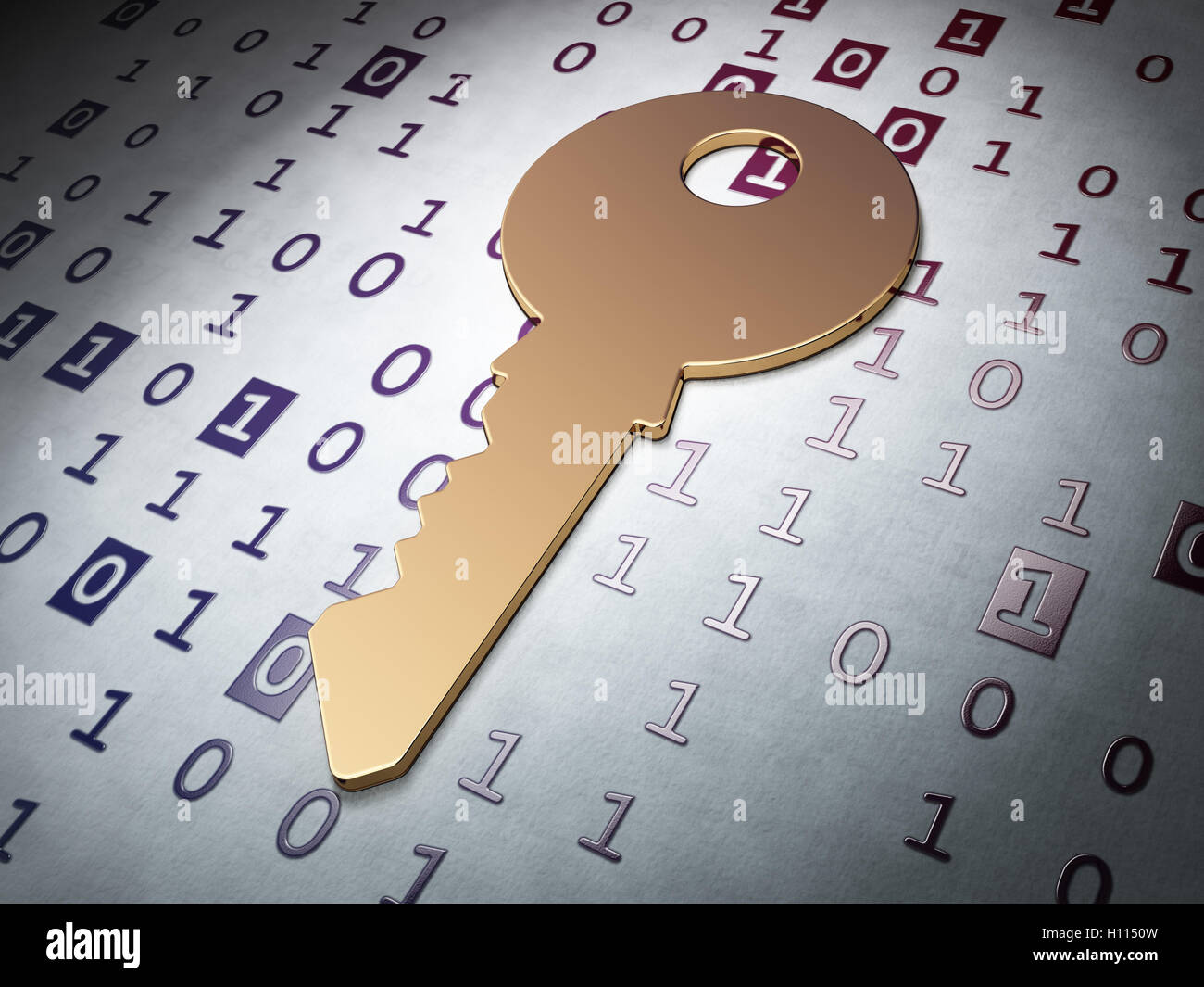 Safety concept: Golden Key on Binary Code background Stock Photo - Alamy