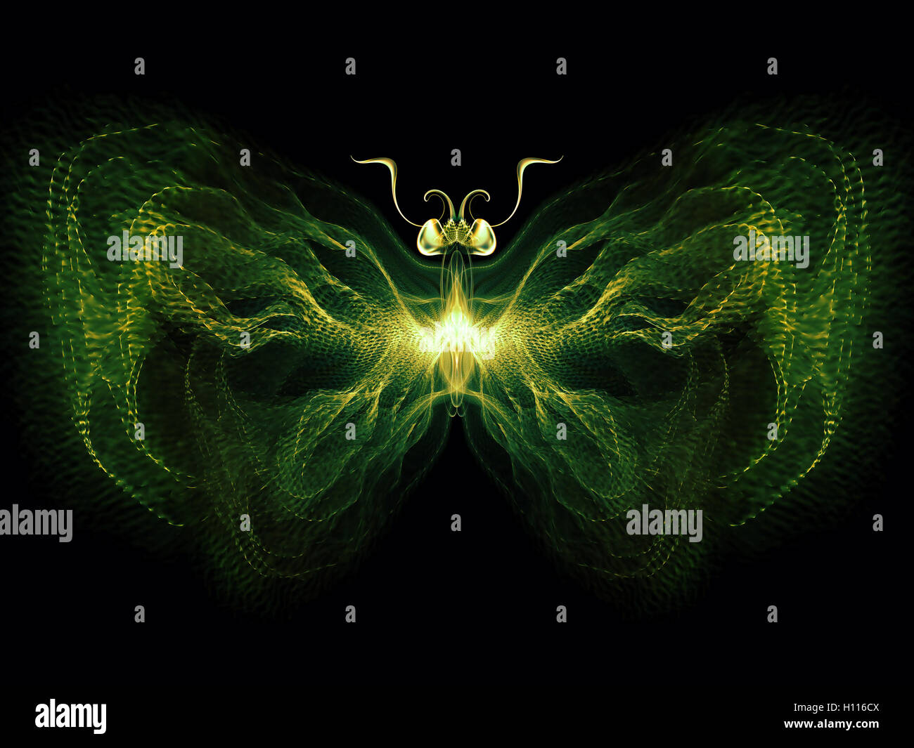 Magic of Butterfly Stock Photo - Alamy