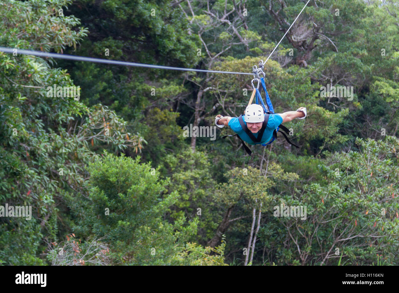 young man zooming thru a cloud forest on a zip line adventure in ...