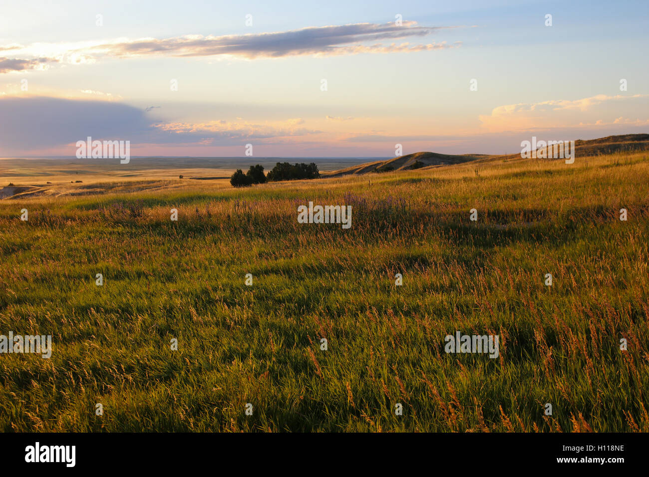 Sunset landscape golden hi-res stock photography and images - Alamy