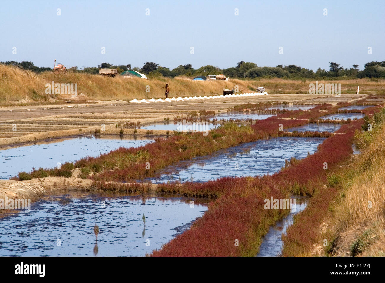 man collecting salt the traditional way Stock Photo - Alamy