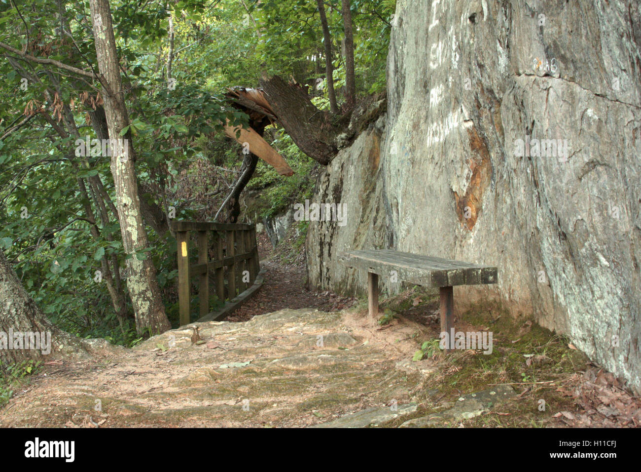 Narrow pathway hi-res stock photography and images - Alamy