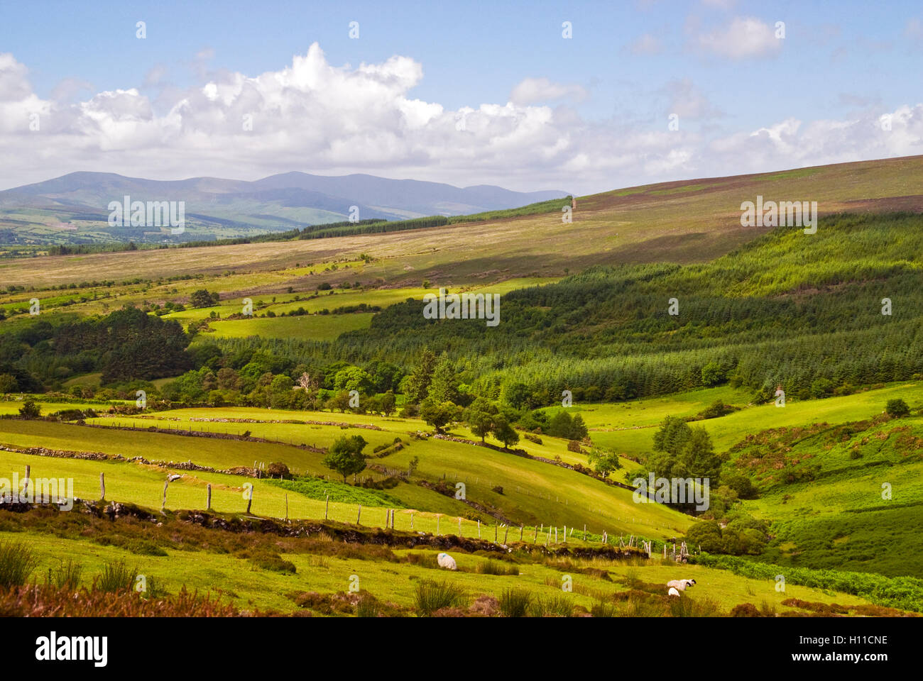 Comeragh mountains hi-res stock photography and images - Alamy