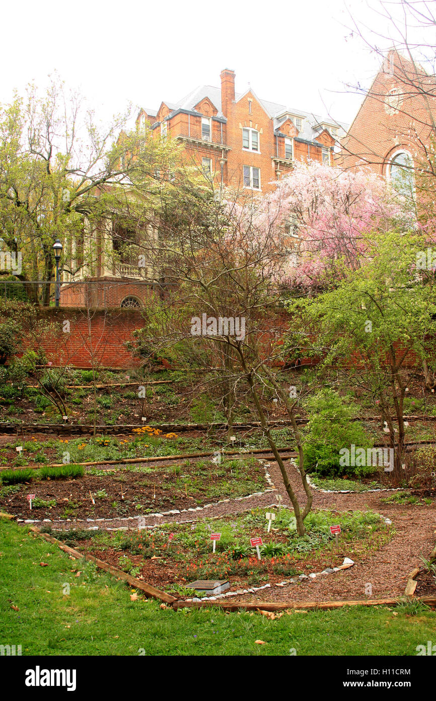 College garden hi-res stock photography and images - Alamy