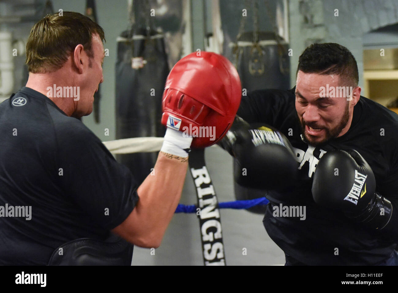 Joseph parker boxer hi-res stock photography and images - Alamy