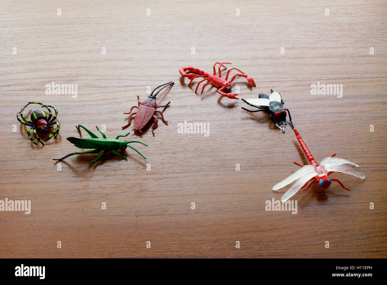 Plastic Toy Insects Stock Photo - Alamy