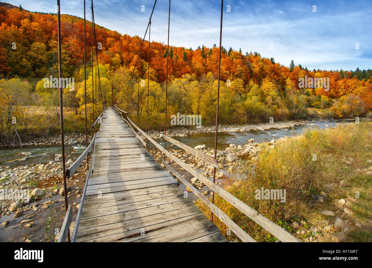 Forest rope bridge hike hi-res stock photography and images - Alamy