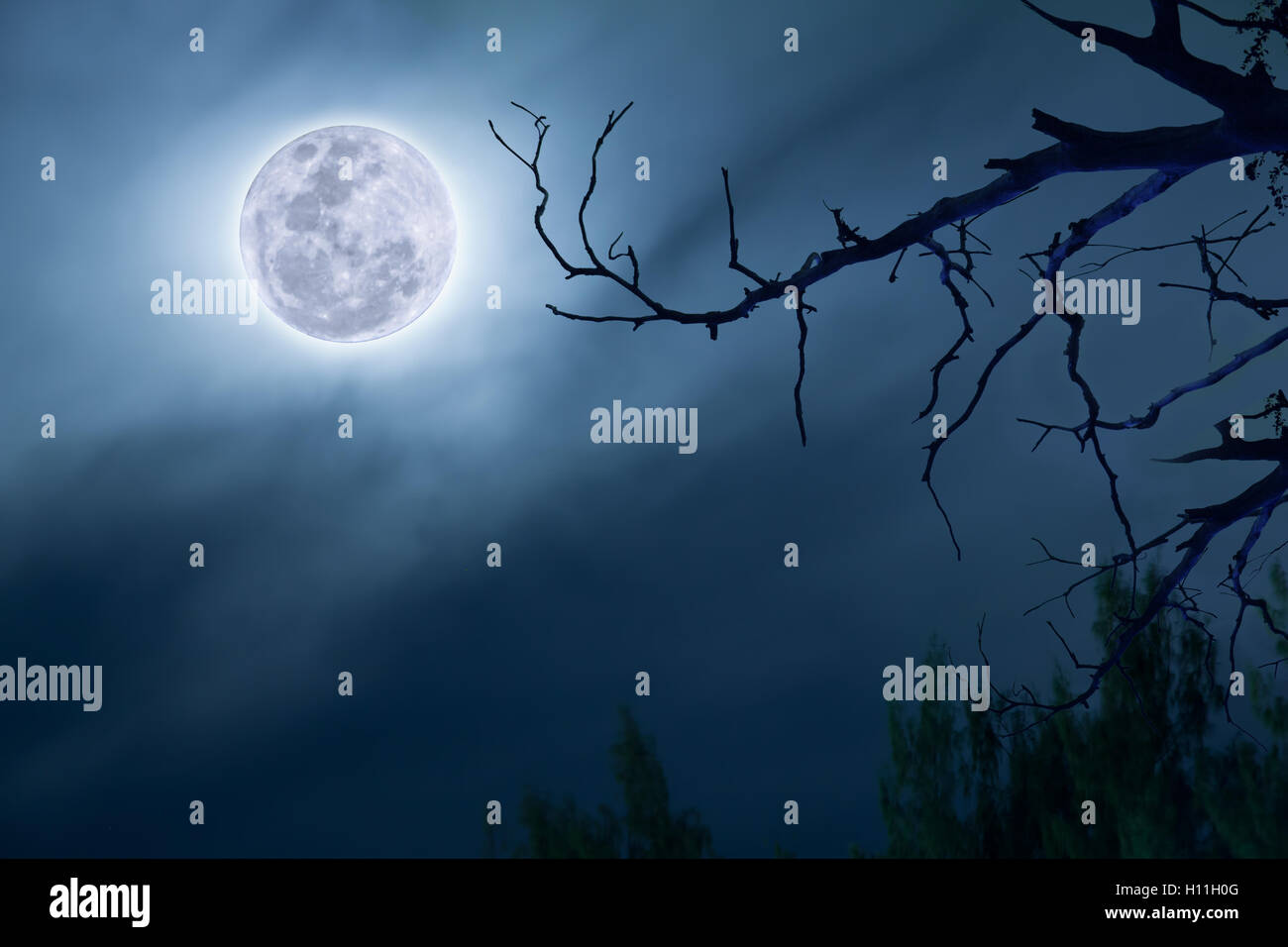 full moon in dark blue sky background a silhouette and dry dead trees ...