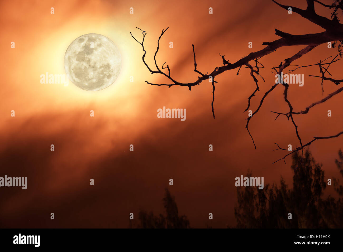 full moon in dark red sky background a silhouette and dry dead trees ...