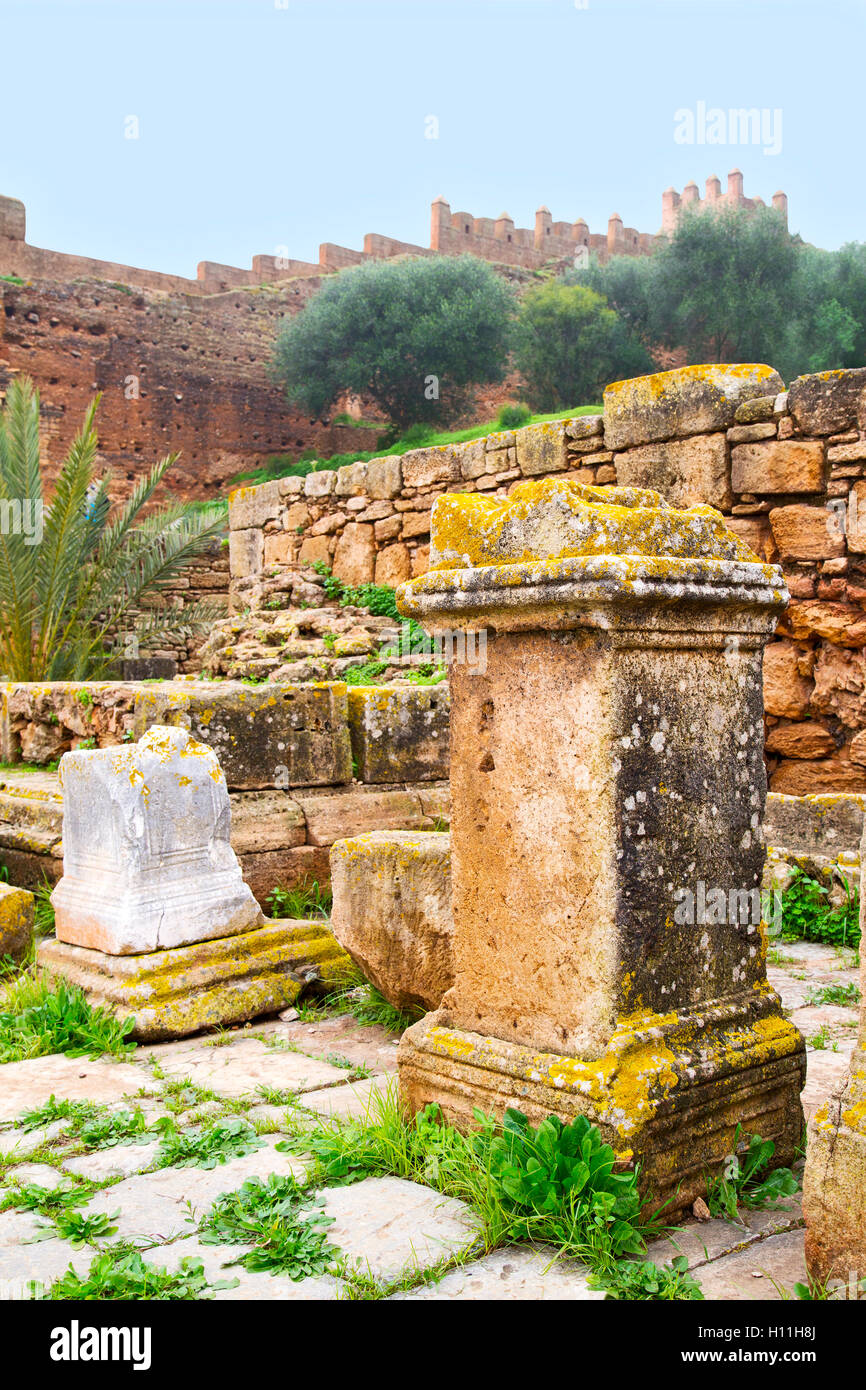 chellah in morocco africa the old roman deteriorated monument and site ...