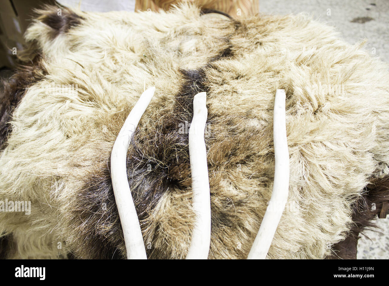 Rake with animal skin, fur and fabric Stock Photo - Alamy