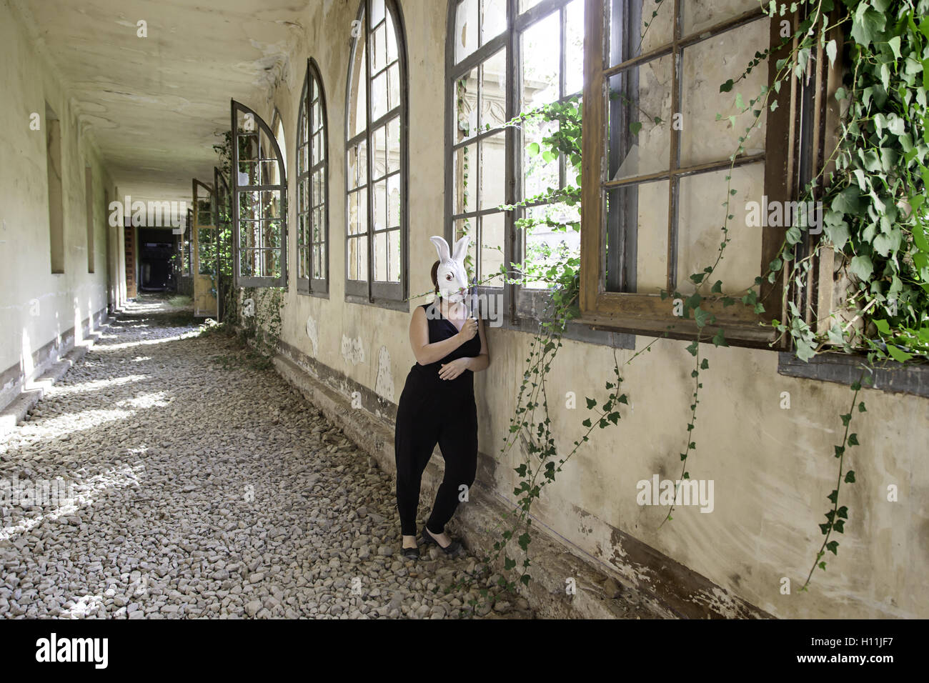 Terrifying killer rabbit with mask, halloween Stock Photo - Alamy