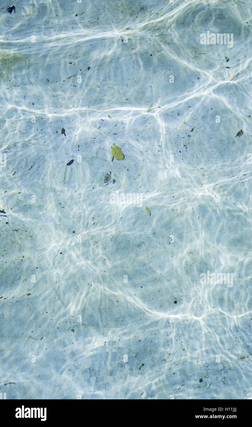 Waves in pool blue water, summer and reflections Stock Photo - Alamy