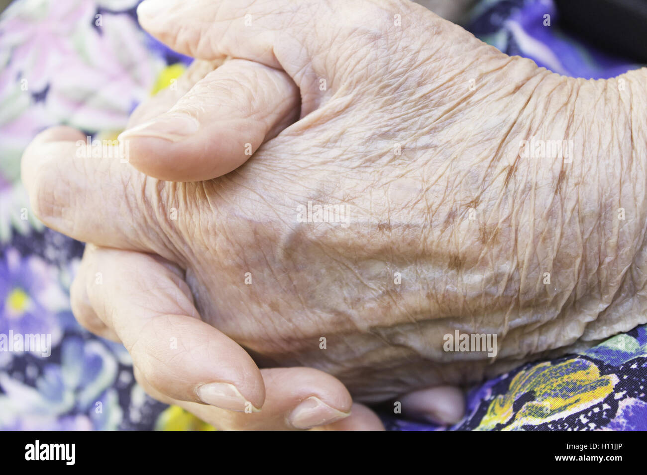 Old hands with wrinkles, aging and life Stock Photo - Alamy
