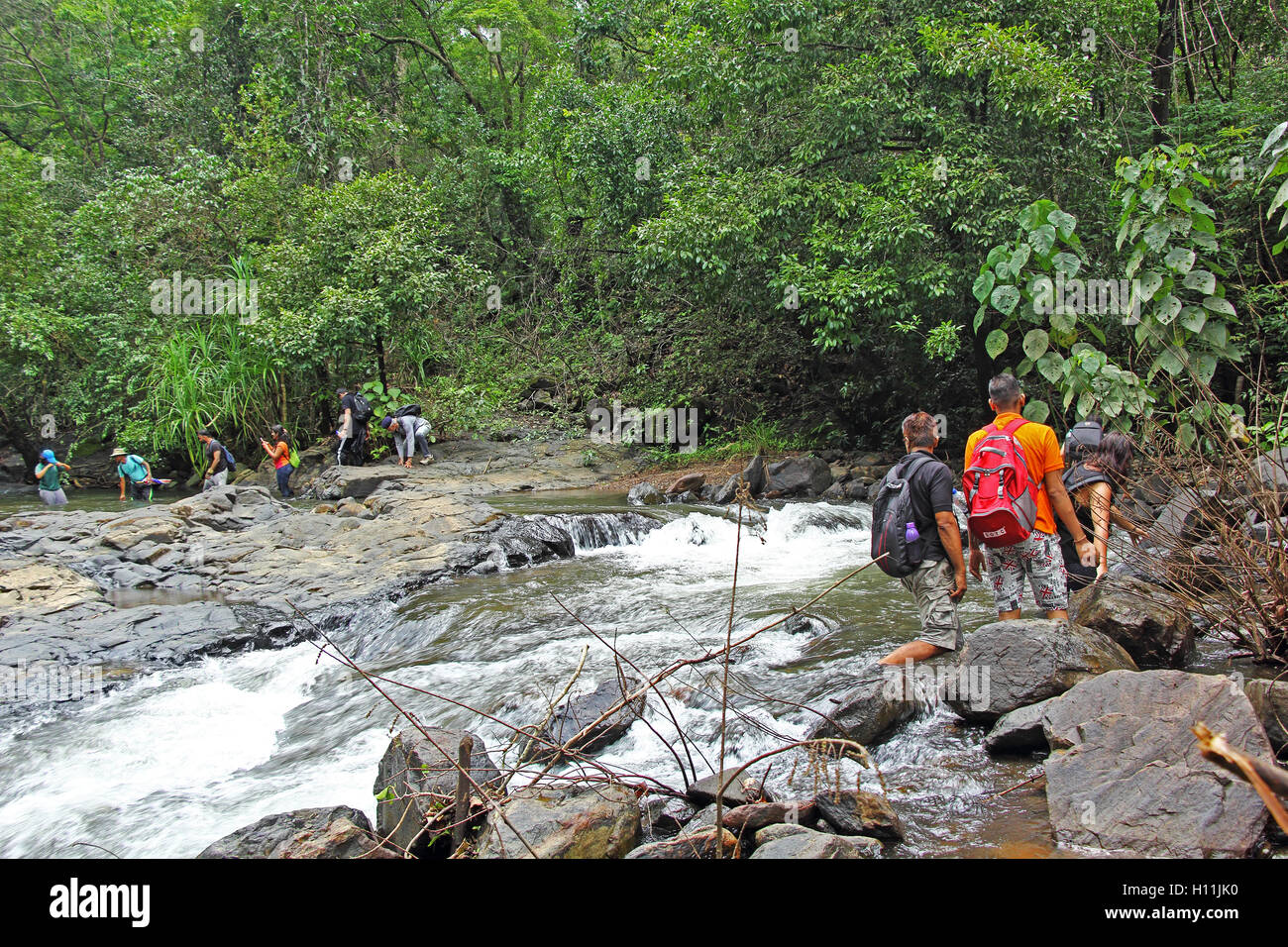 Group of enthusiasts trek along the rugged banks of Salaulim River in ...