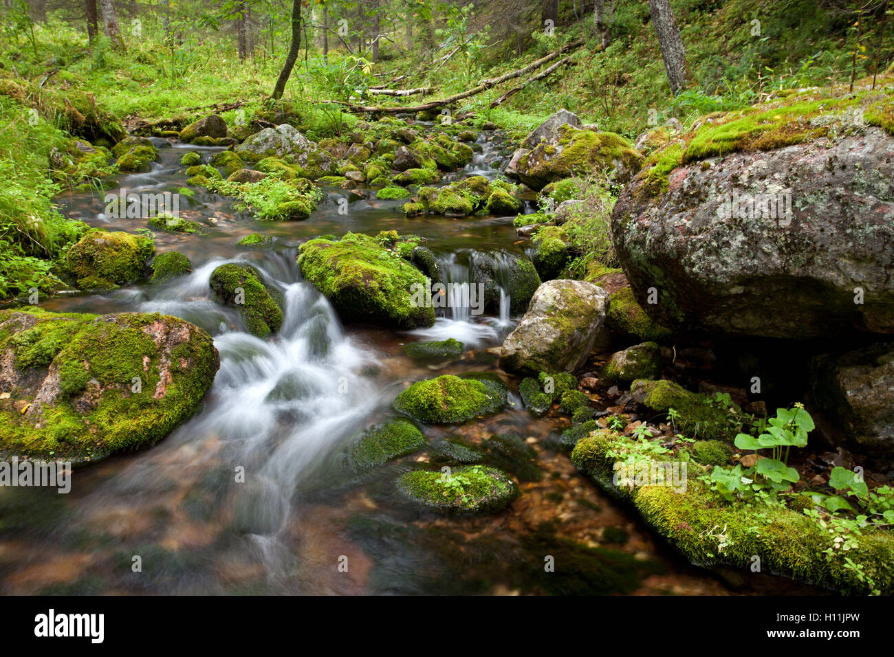 Small Creek on Velhopolku Trail Stock Photo - Alamy