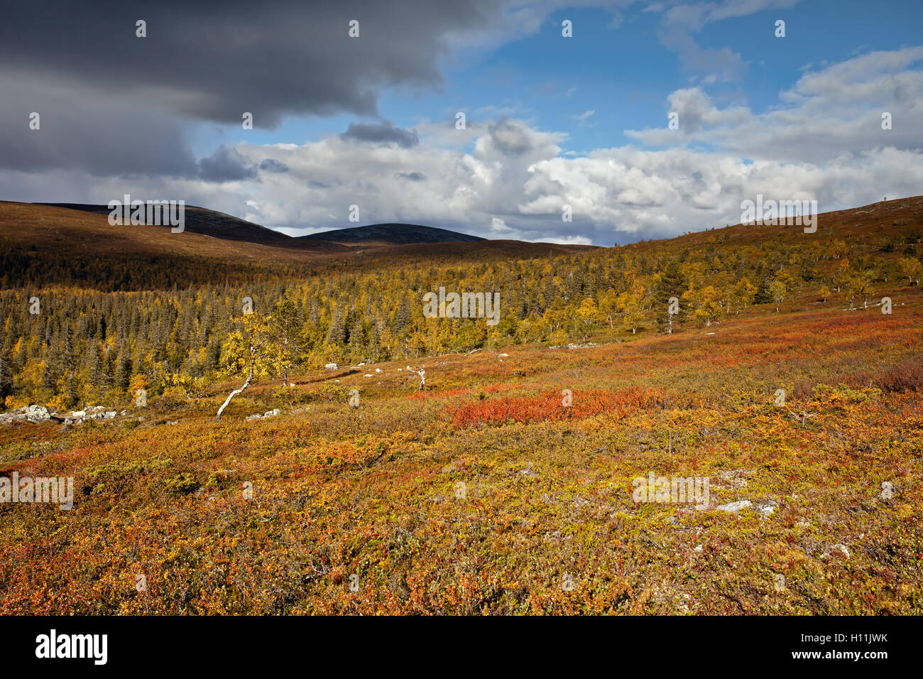 Tundra trek hi-res stock photography and images - Alamy