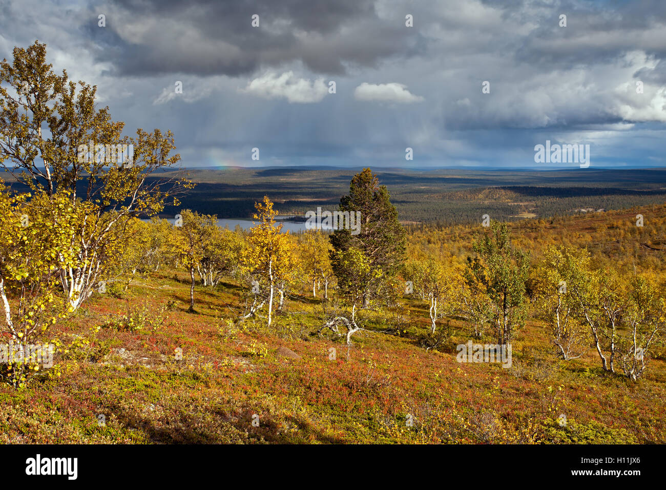 Tundra trek hi-res stock photography and images - Alamy