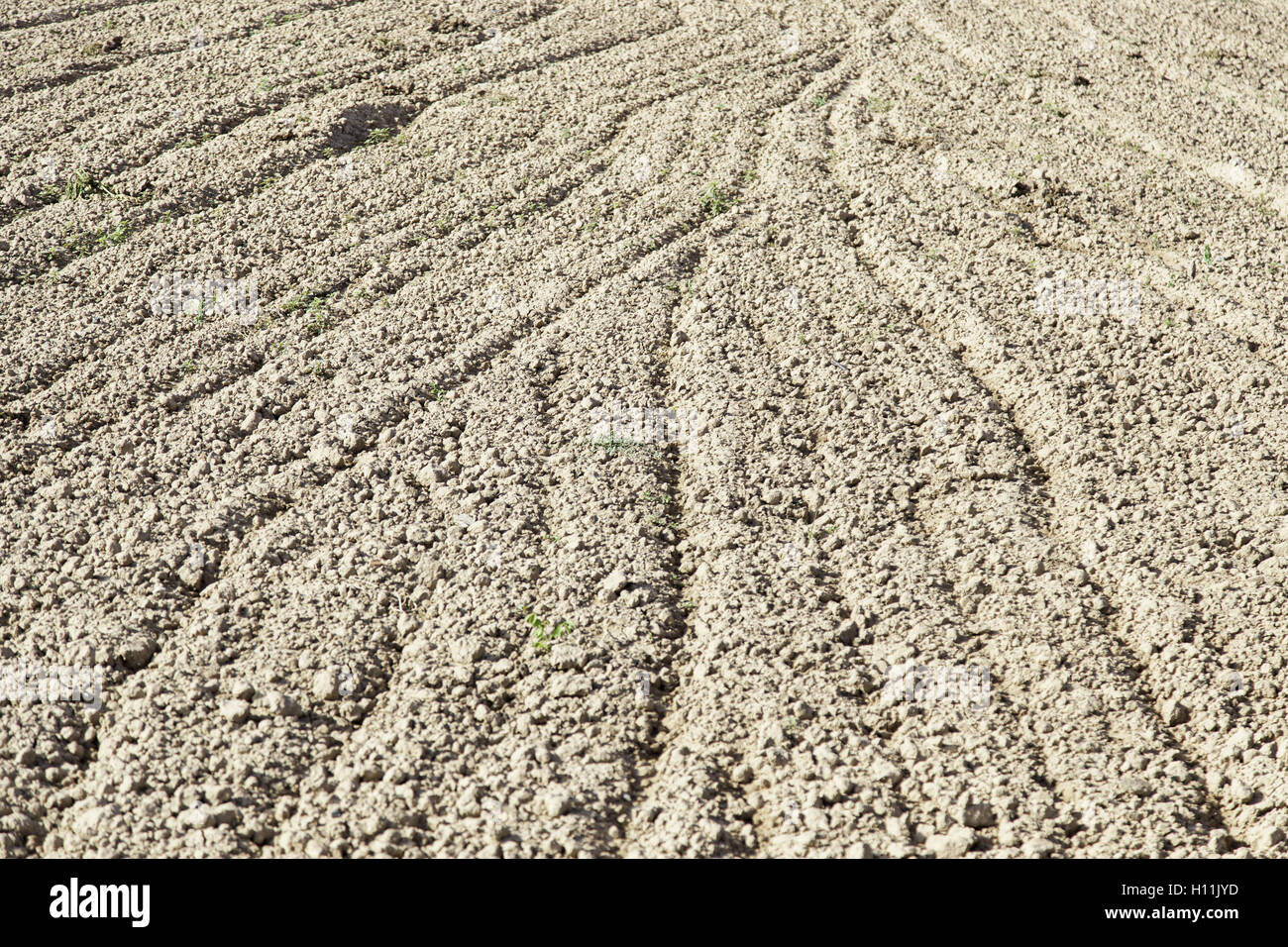Plowed field agriculture to harvest, nature Stock Photo - Alamy